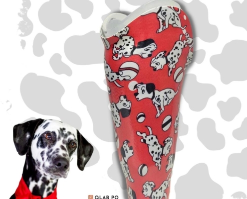 qlabpo – Fabrication lab that makes custom orthotic and prosthetic devices.